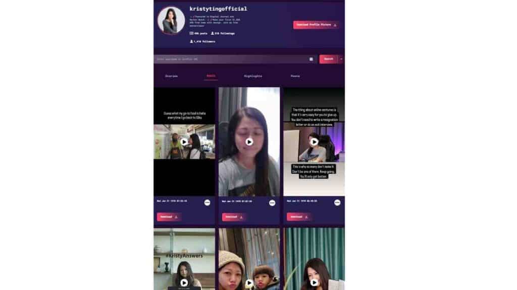 Instagram Reel Viewer: How To Download Your Fave Reels ⋆ Side Gig ...